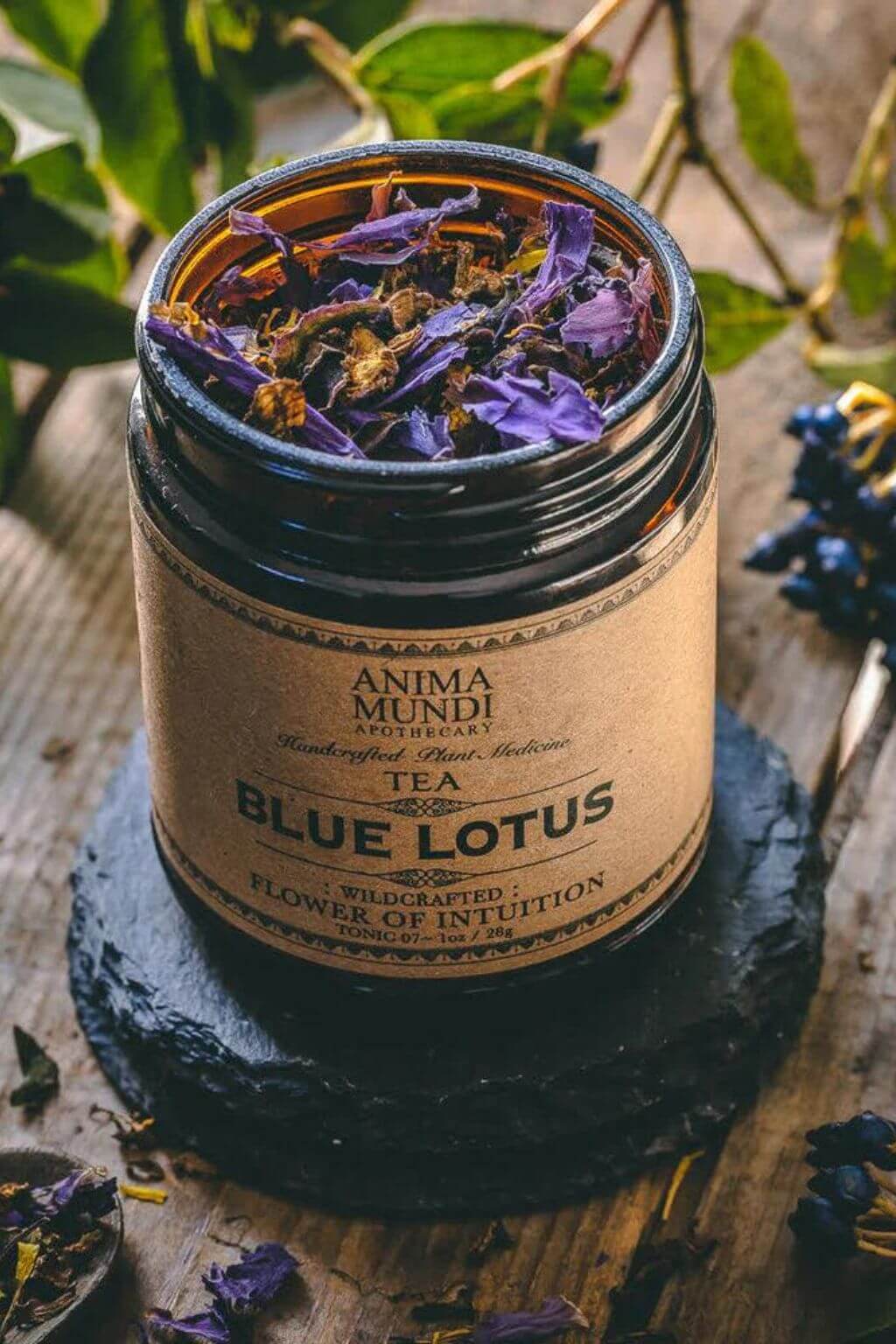 Blue Lotus | Flower of Intuition Tea - Meditative, Euphoria + Relaxati ...