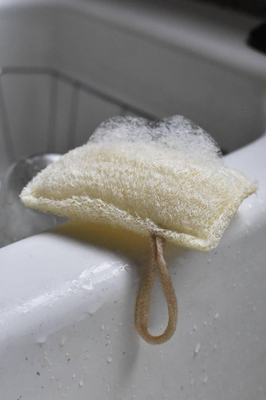 Kitchen Loofah Sponges, Set of 3 – Cultiverre